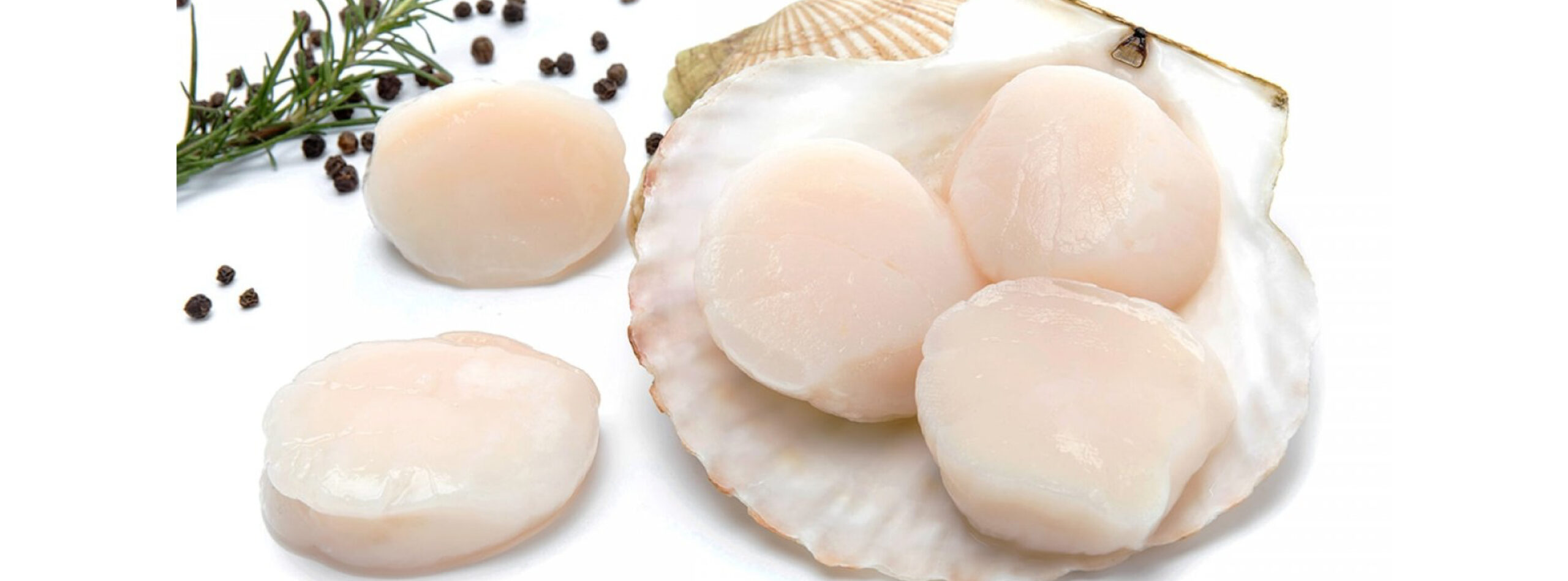 Hokkaido Hotate วัตถุดิบชั้นดีที่ใคร ๆ ก็หลงรัก - My Dining Chef